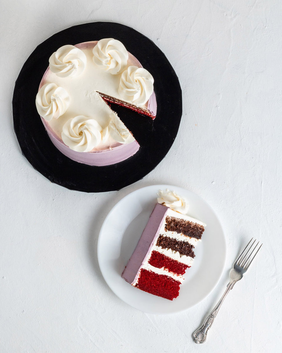 The Ladybird – SALTLAGOS